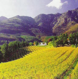 Unique South African Jewellery South Africa Geta Finlayson Jewelley ...