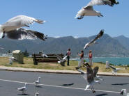 Unique South African Jewellery South Africa Geta Finlayson Jewelley ...